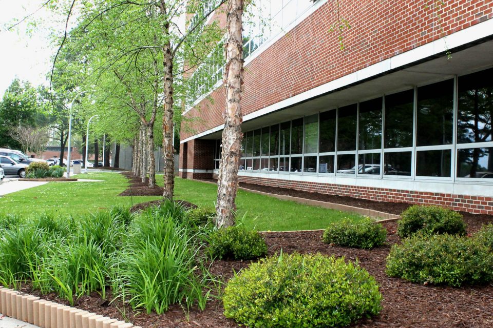 ECSU Campus Facelift Rallies Viking Pride – Elizabeth City State University